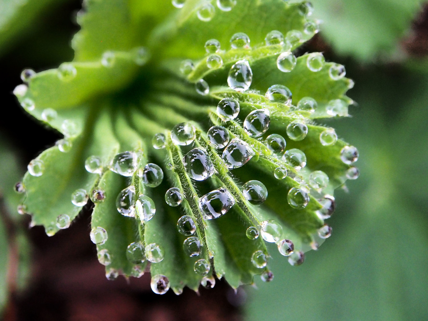 Water Rising – Nature’s Depths